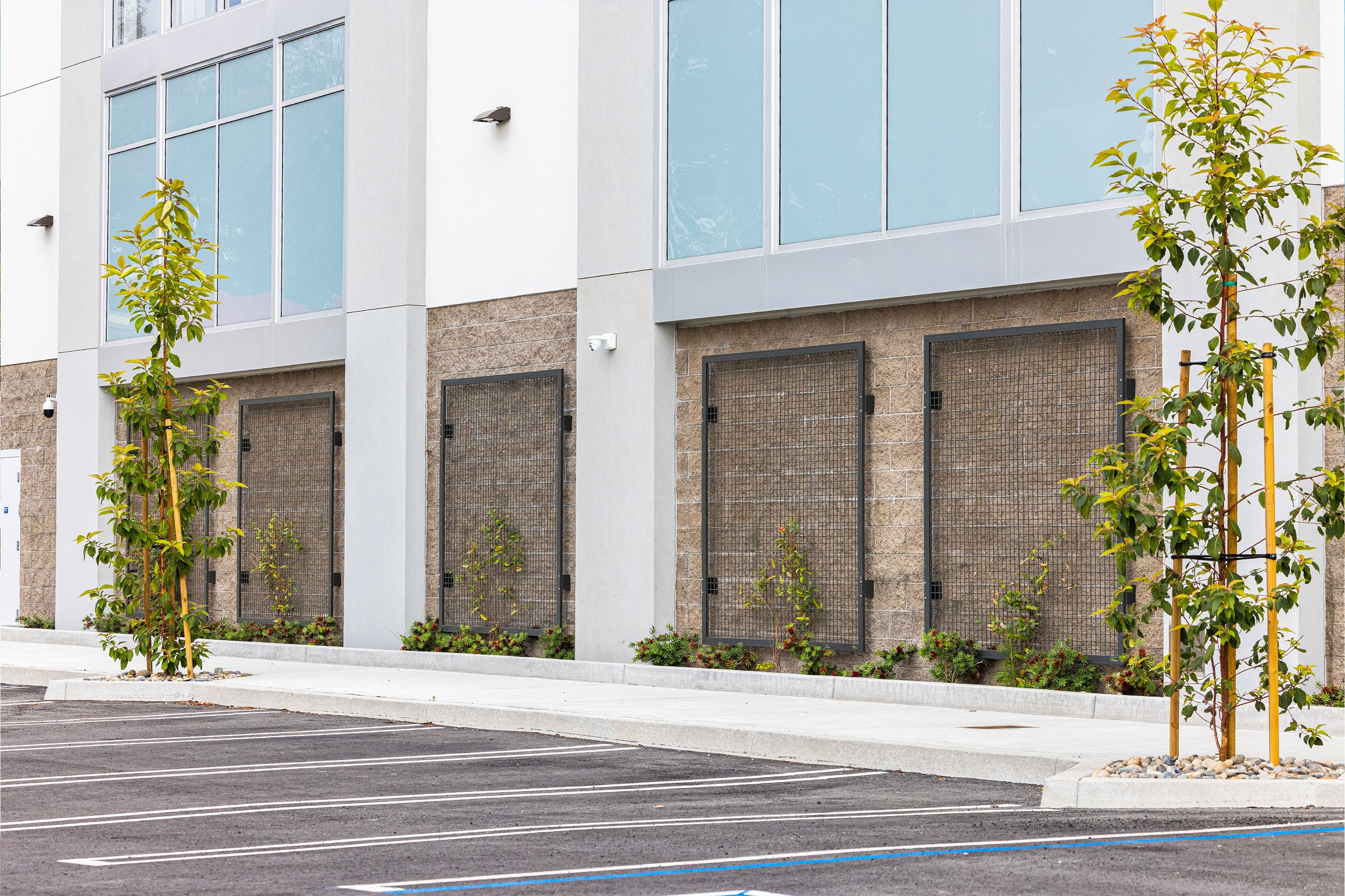 Plant Trellis Systems Gallery - Cityscapes, Inc.